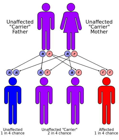 Martha’s Vineyard, Deaf People, and a Shared Sign Language | Icy Seas